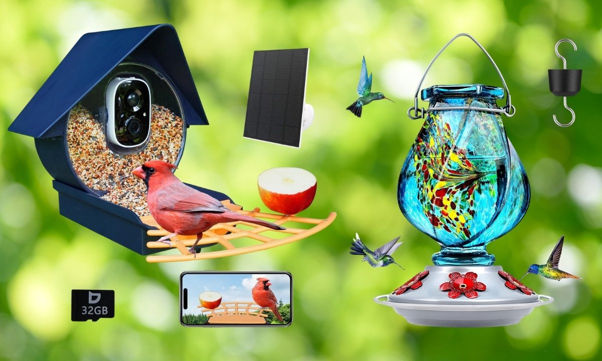 7 Must-Have Products to Attract Beautiful Garden Birds - Wild Bloo